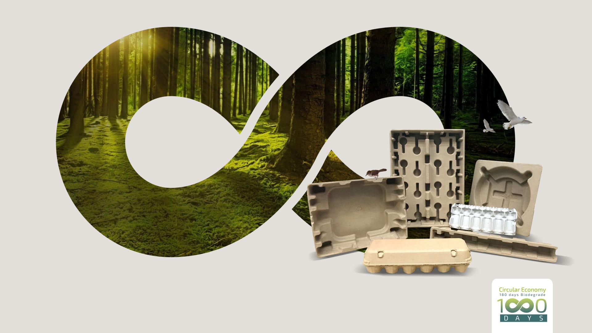 Interbrands Packaging | Molded Pulp - Flexible Packaging - Folded Carton